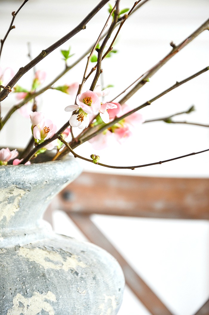 KEEPING FLOWERING CUT BRANCHES FRESH LONGER - StoneGable