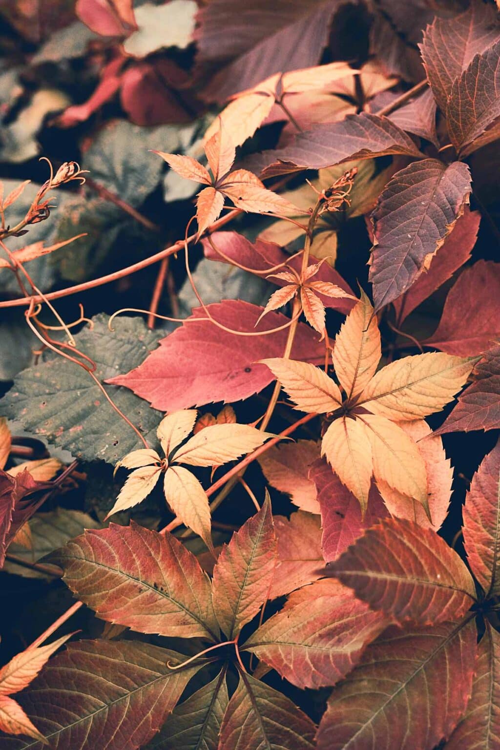 SUNDAY SCRIPTURE Archives - StoneGable