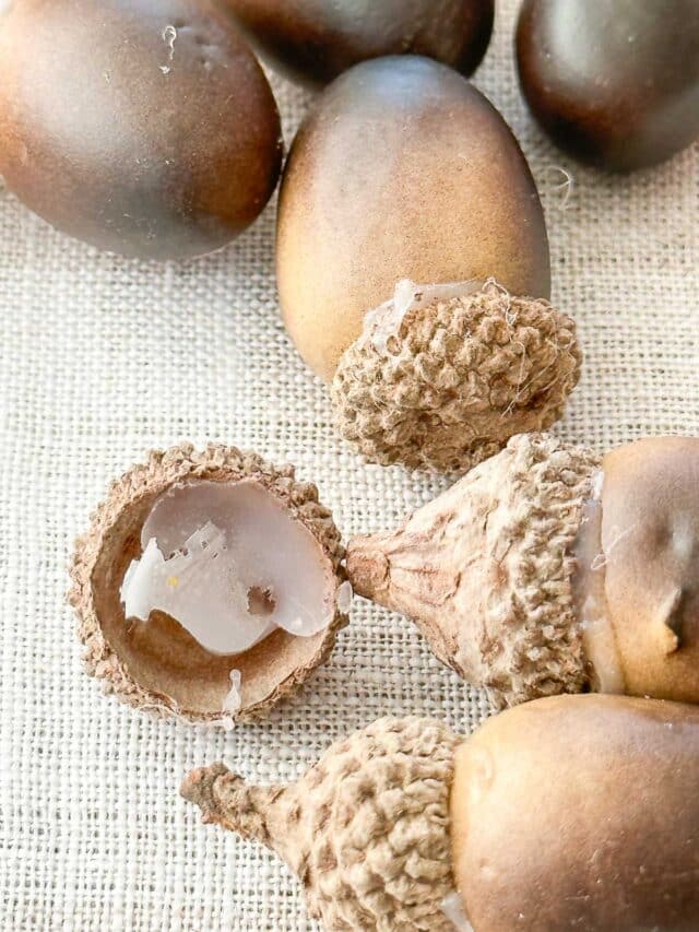 Felted Wool Ball Acorns: A Simple and Adorable Fall DIY - StoneGable