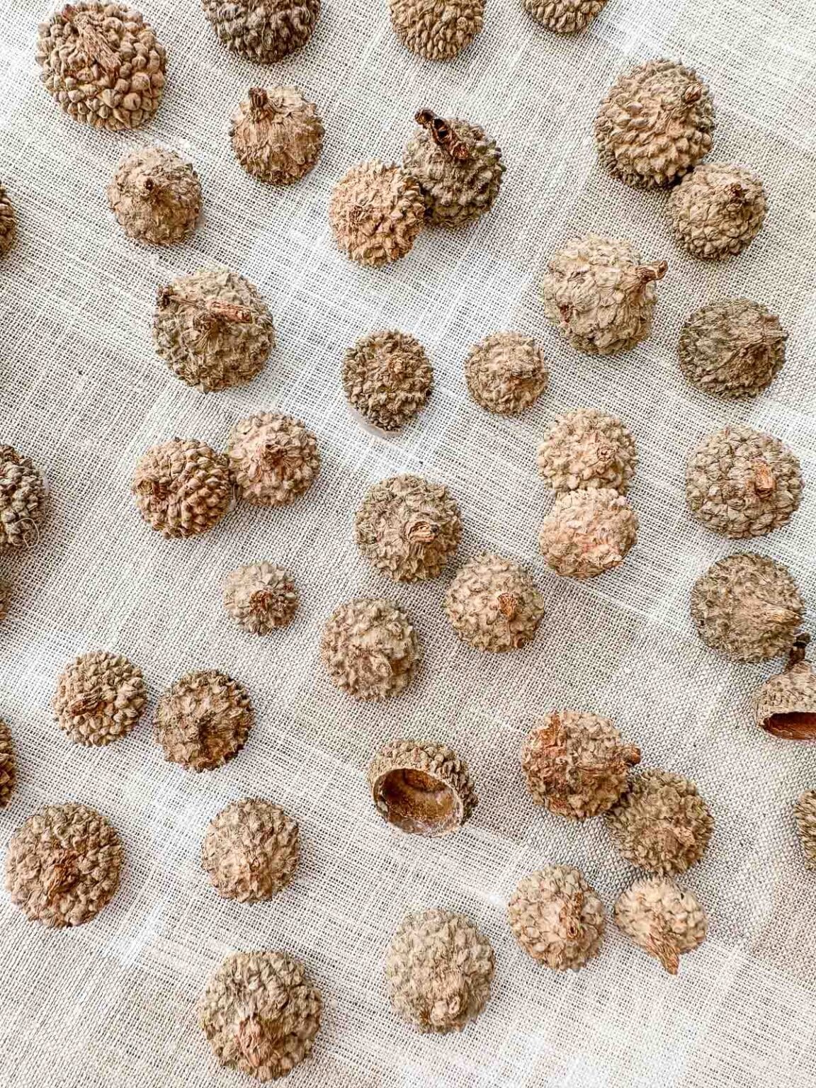Felted Wool Ball Acorns: A Simple and Adorable Fall DIY - StoneGable
