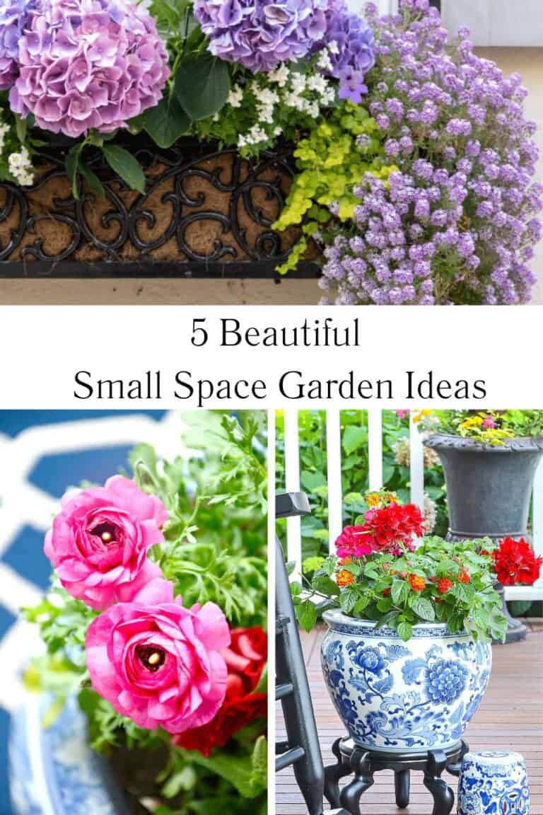 Easy Small Space Garden Ideas For Patios, Porches, And Small Yards ...