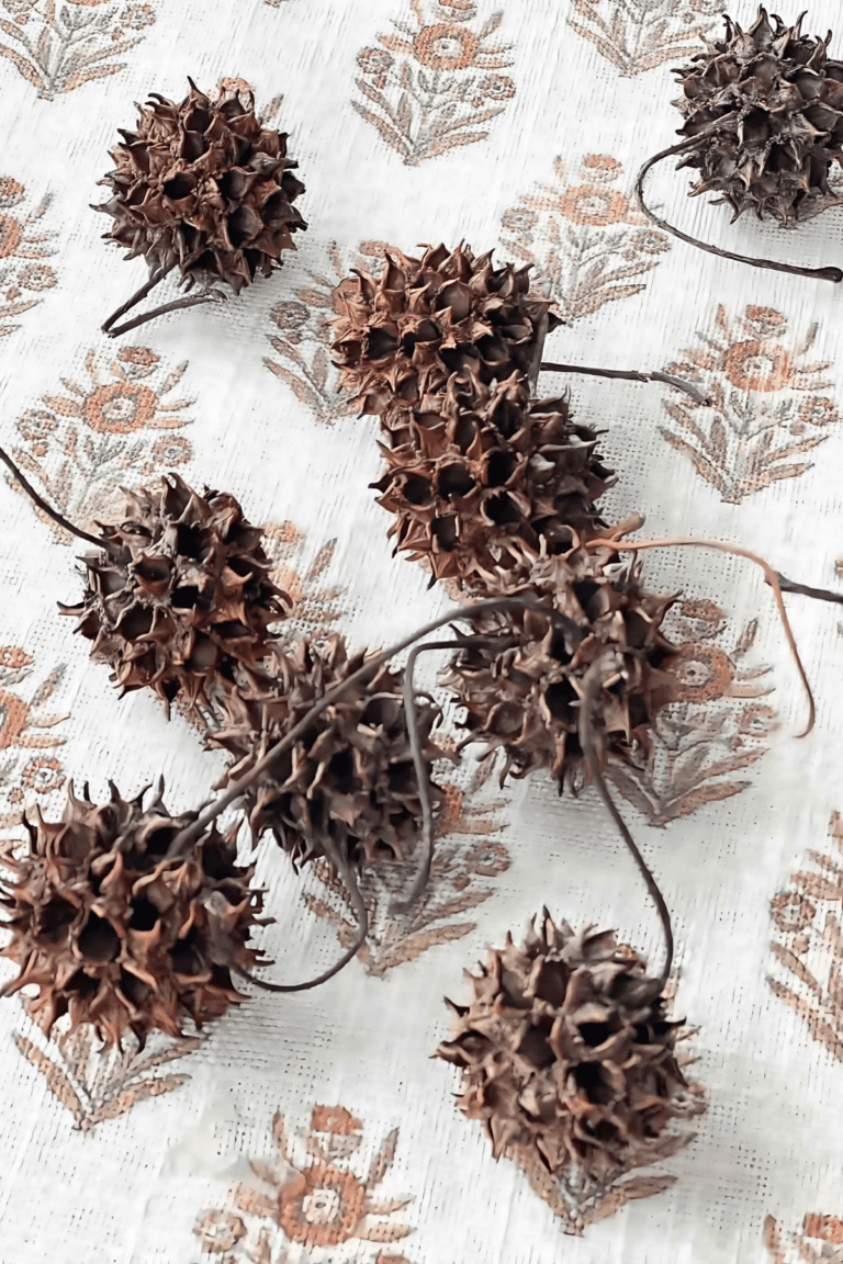 Sweet Gum Ball Wreath: Simple To Make And Textural - StoneGable